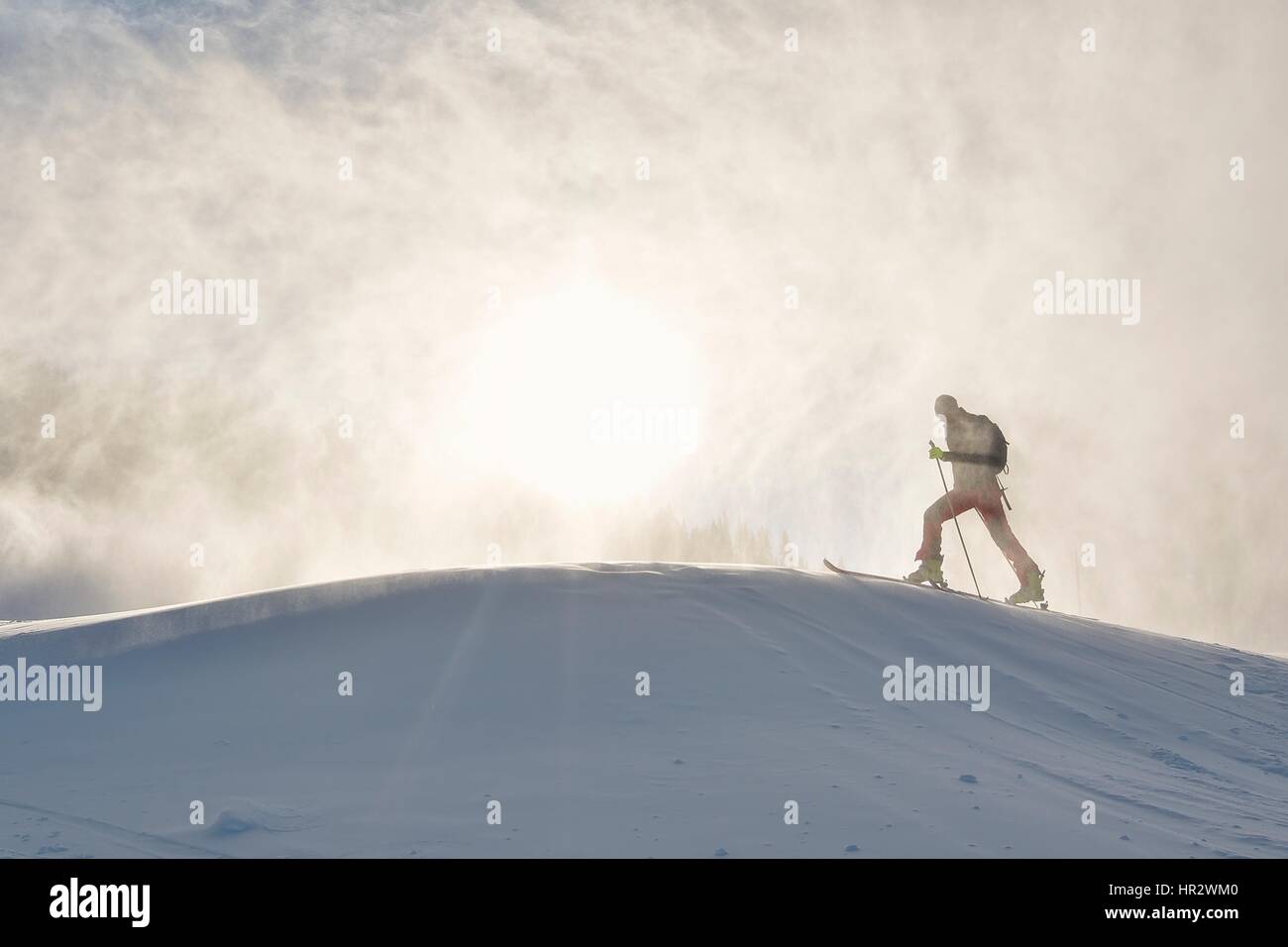 Ski touring in harsh winter conditions Stock Photo - Alamy