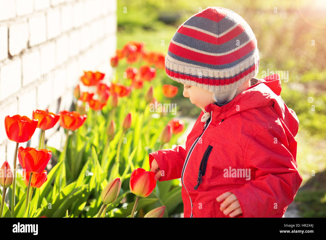 Baby smelling flower hi-res stock photography and images - Alamy