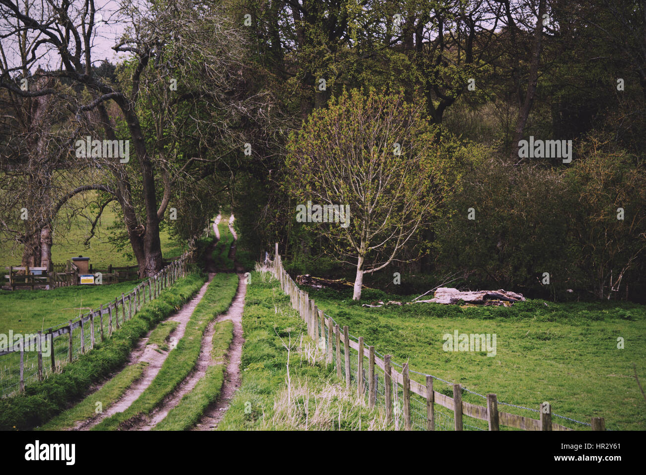 Countryside path in the Chilterns, going downhill through trees Vintage ...
