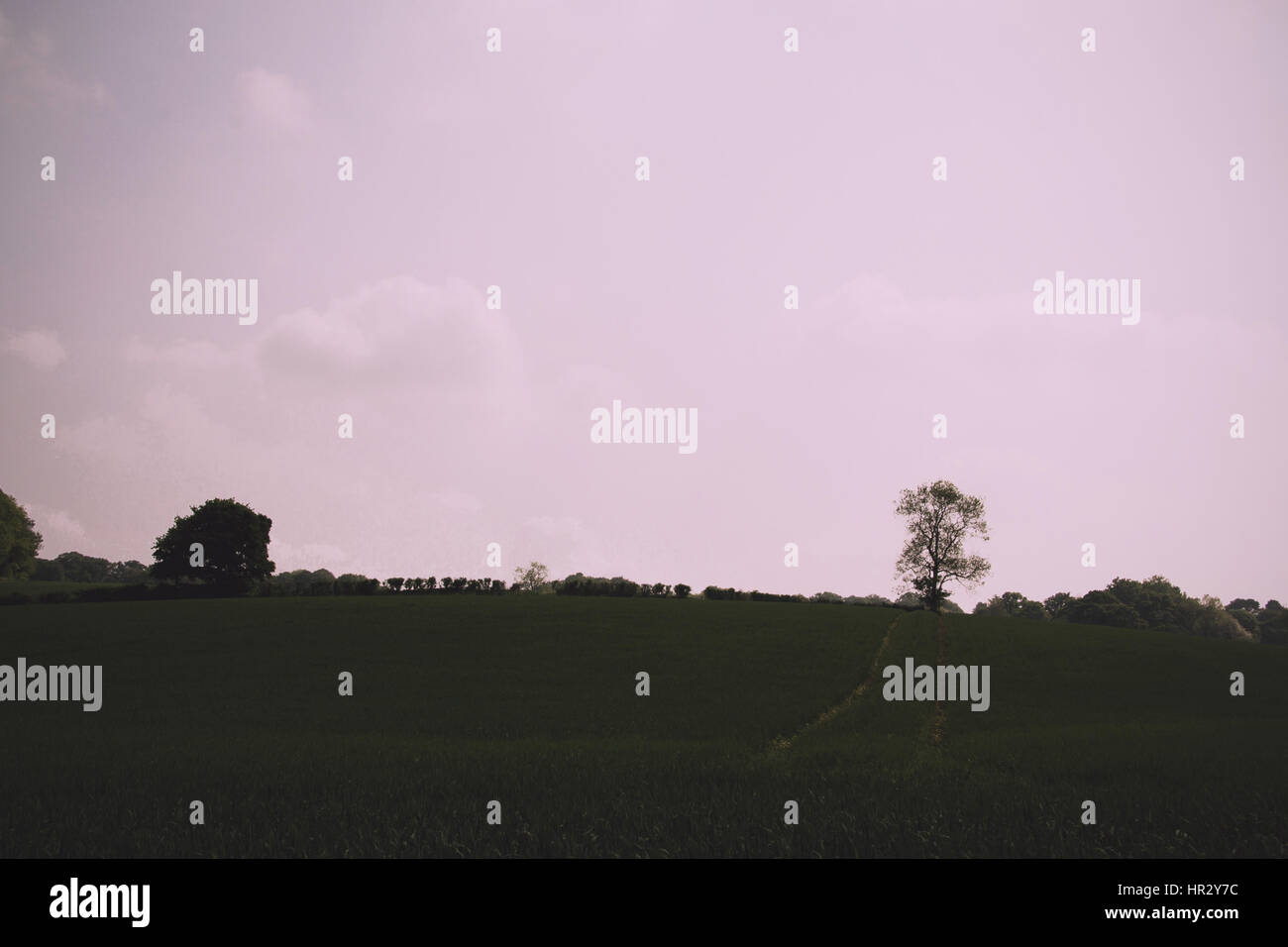 View over the Chilterns landscape in Buckinghamshire, England Vintage ...