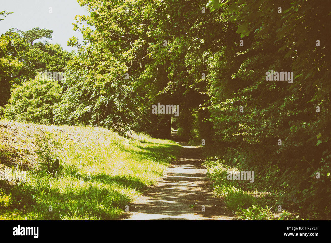 Footpath going through the trees and grass Stock Photo - Alamy