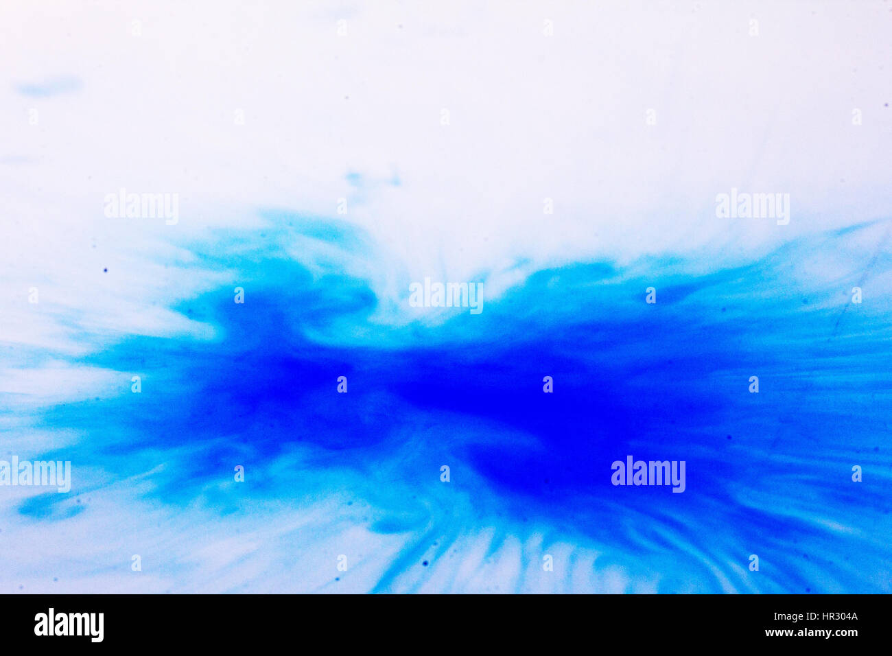 Colorful paint drop splashing on black a background Stock Photo - Alamy