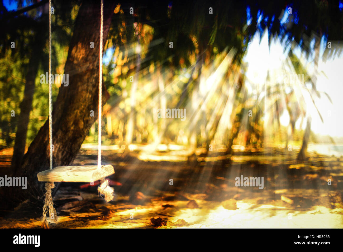 Rope swing in the tropical forest on the beach Stock Photo - Alamy