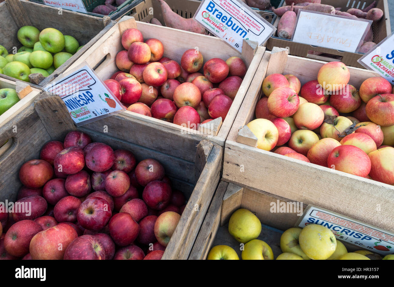 Winesap apples hi-res stock photography and images - Alamy