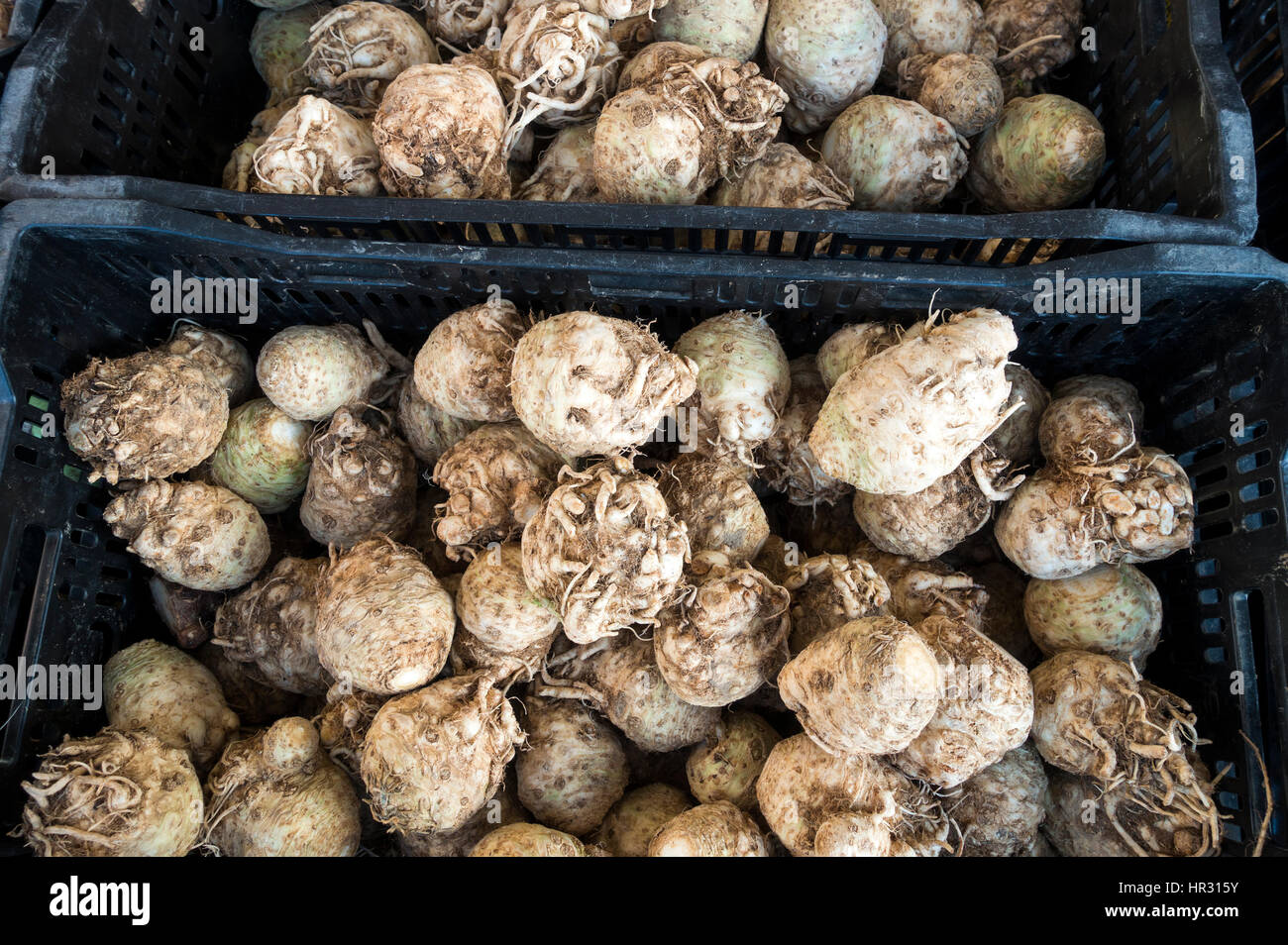 Celery root hi-res stock photography and images - Alamy