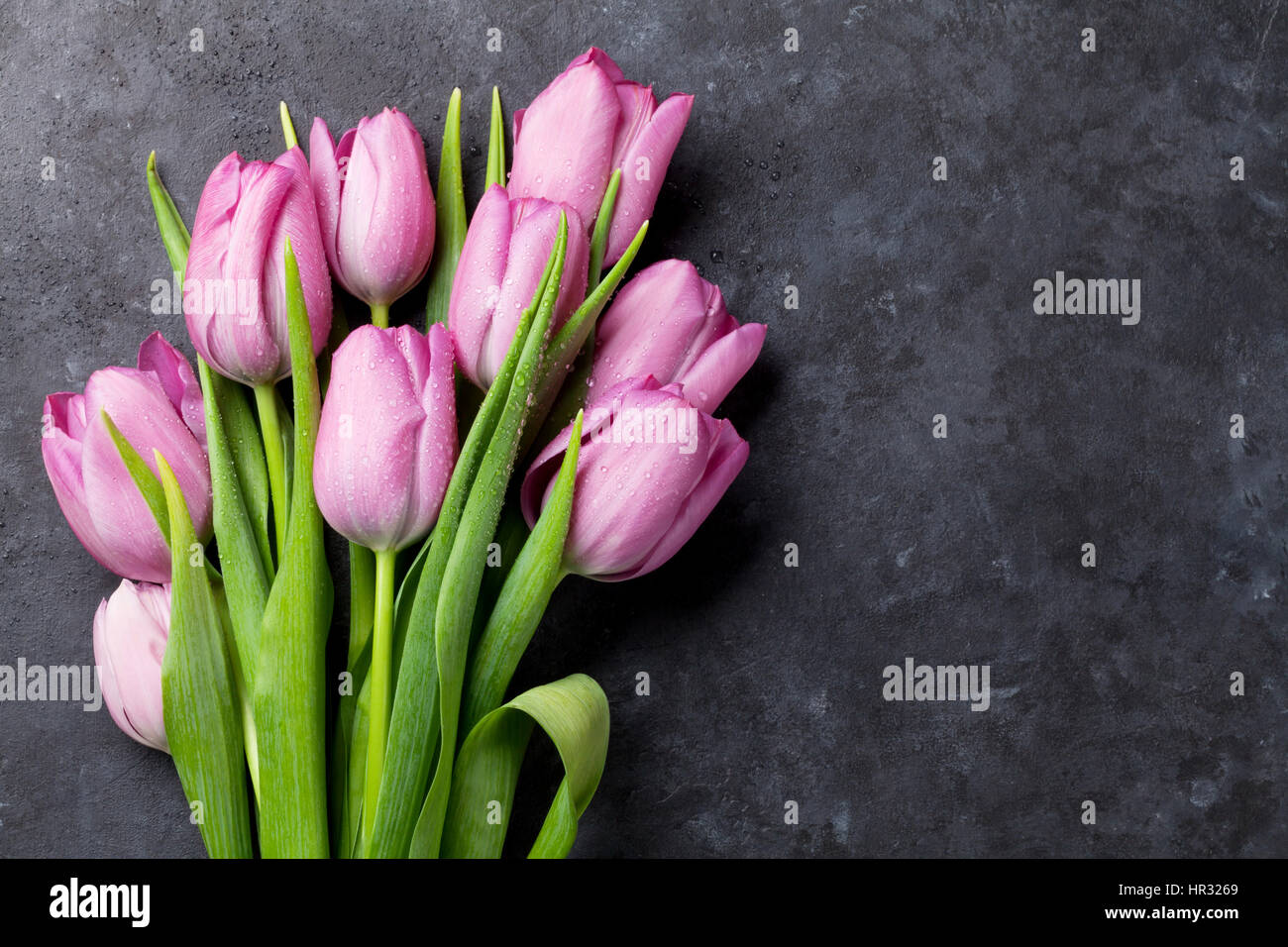 Fresh purple tulip flowers on dark stone table. Top view with copy ...