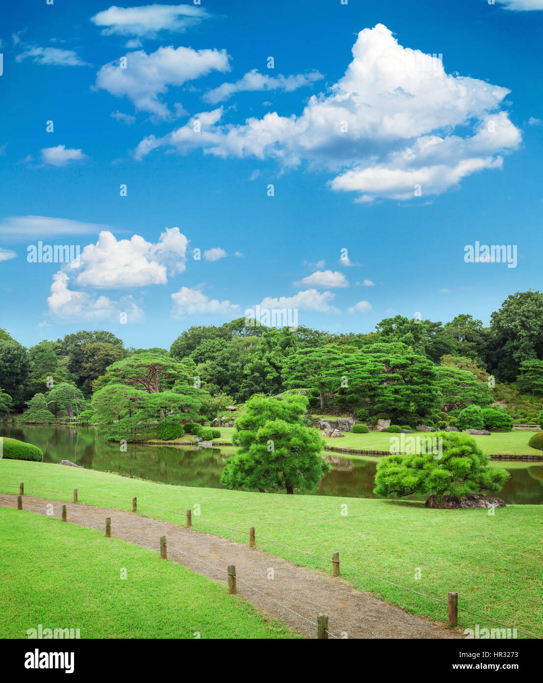 Japan garden with fir trees and pond Stock Photo - Alamy
