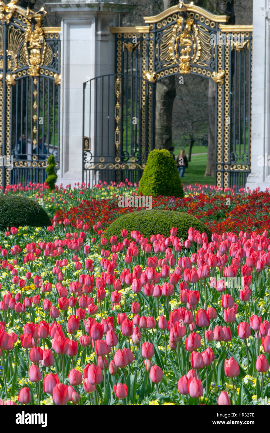 Buckingham palace green space hi-res stock photography and images - Alamy