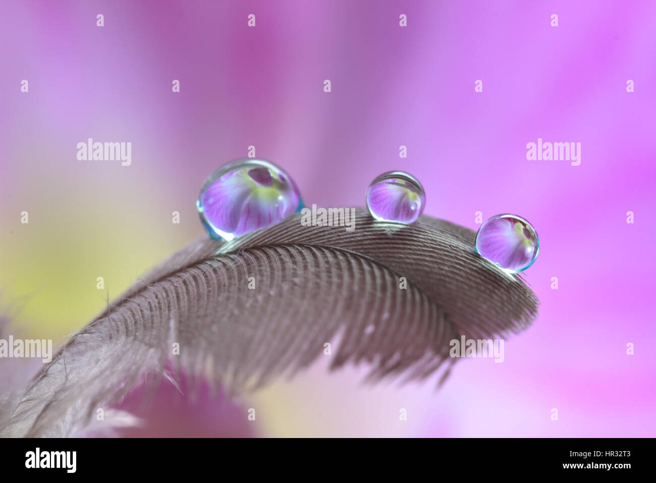 Three drops hi-res stock photography and images - Alamy
