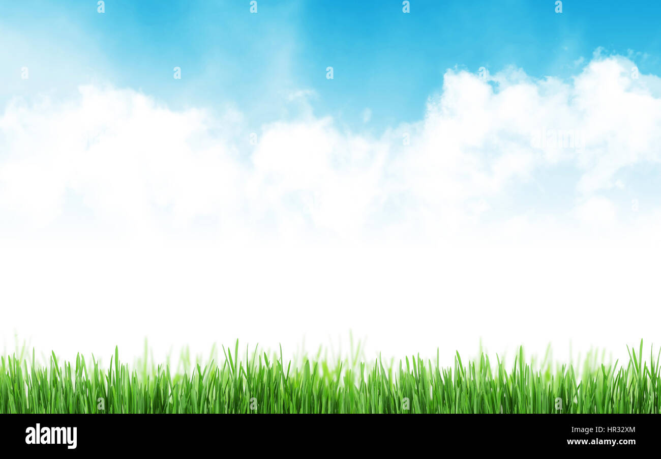 Abstract sunny spring background with grass and cloudy sky Stock Photo ...