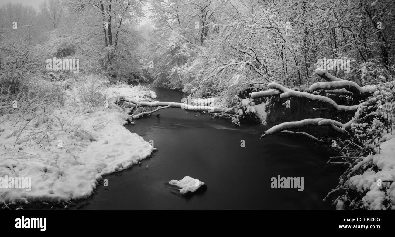 Winter snow fall Black and White Stock Photos & Images - Alamy