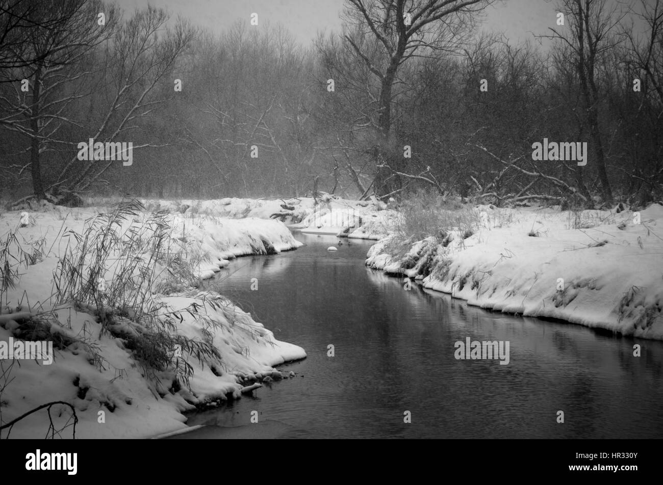 Winter snow fall Black and White Stock Photos & Images - Alamy