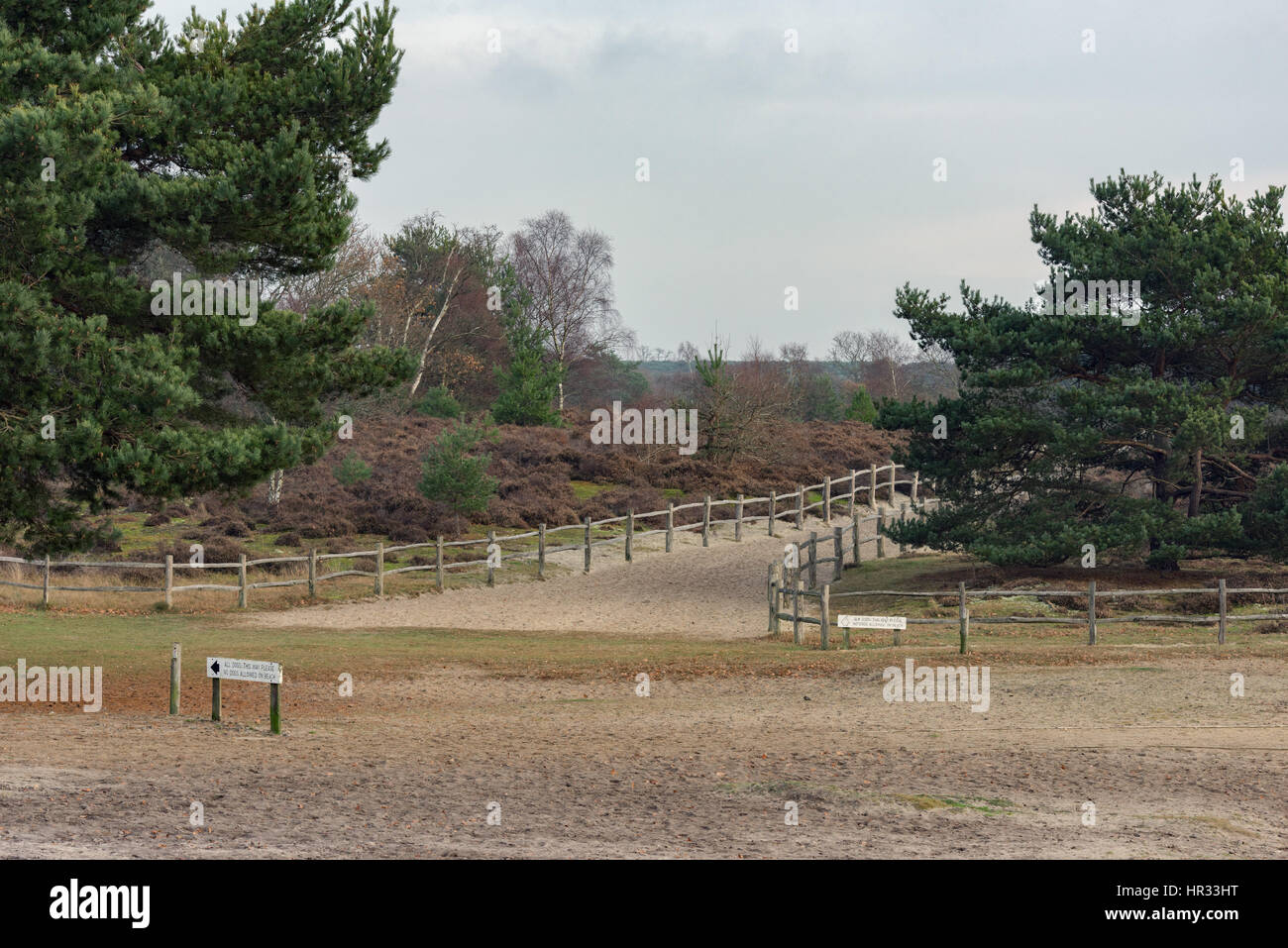 Frensham beach surrey uk hi-res stock photography and images - Alamy
