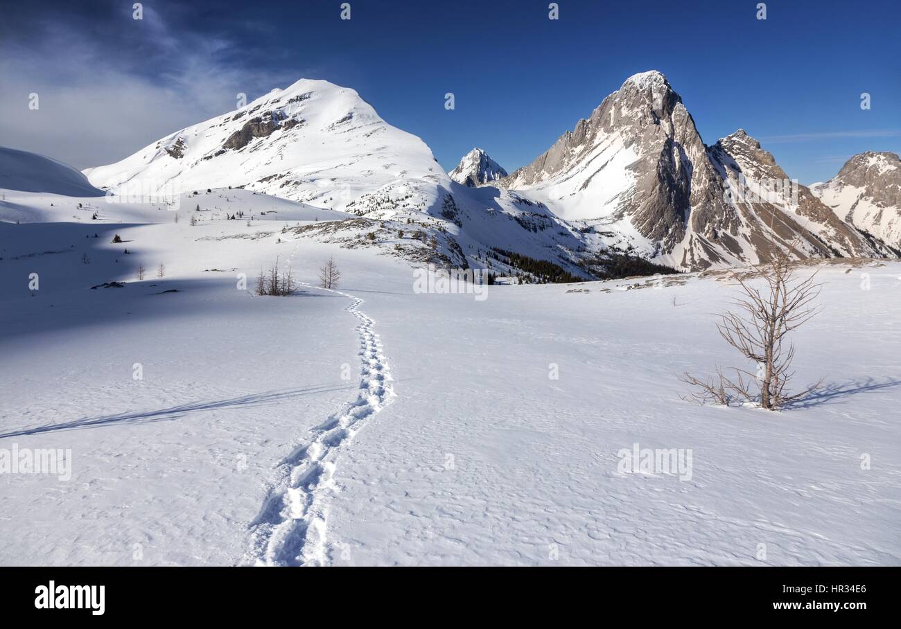 Snowshoe Track in White Snow Slope, Distant Rocky Mountains Peak ...