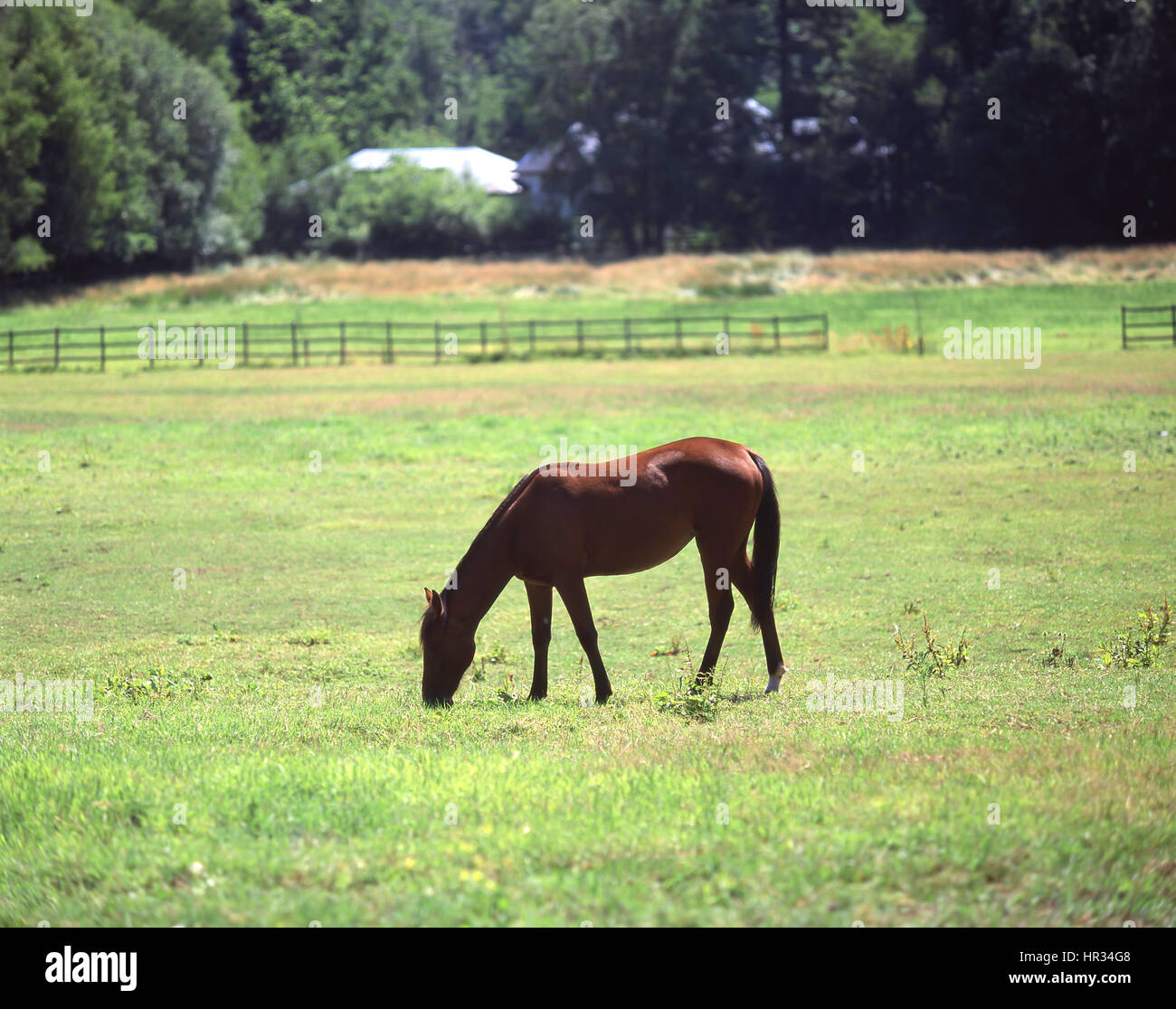 Dark bay hi-res stock photography and images - Alamy