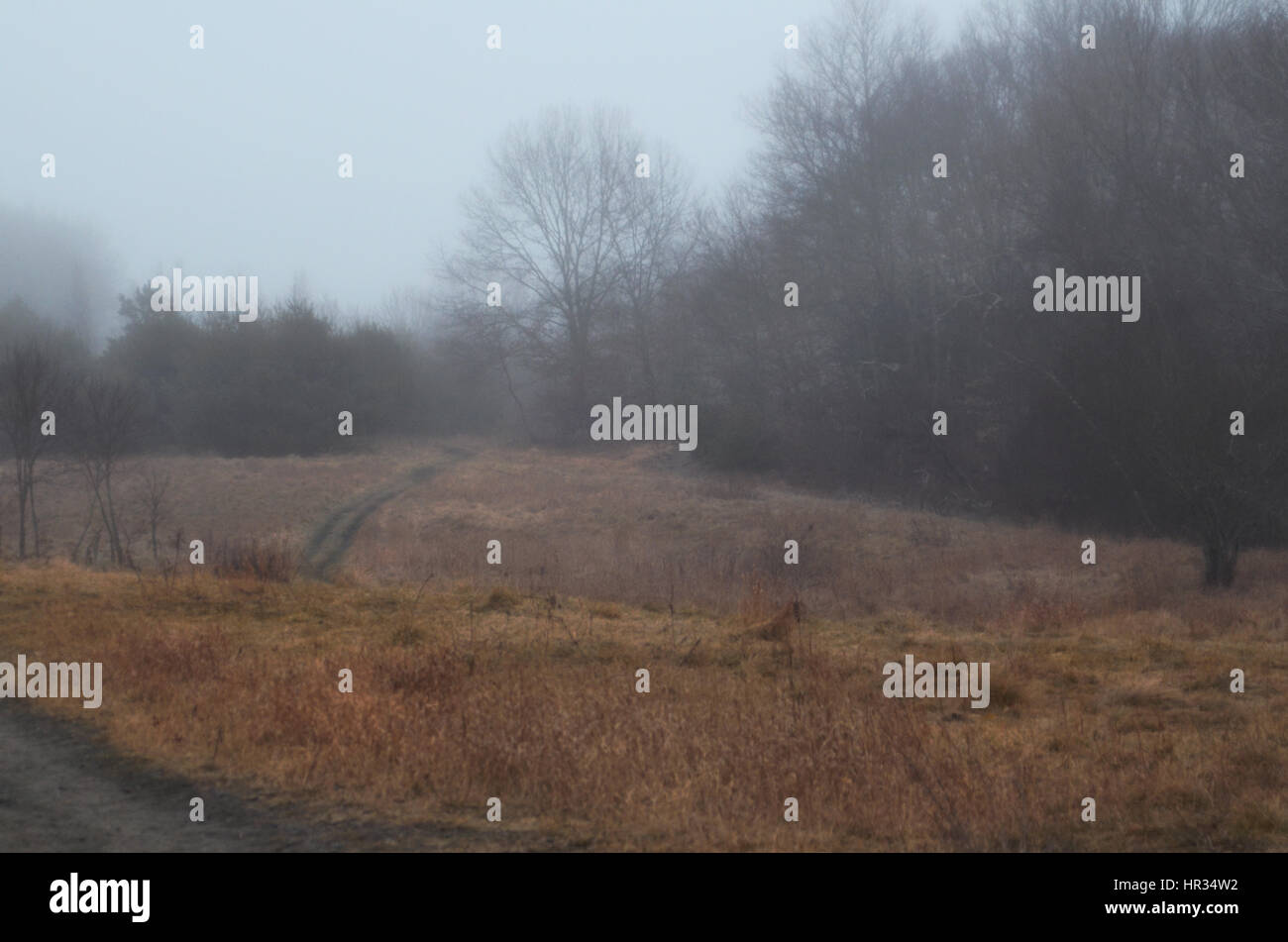 Winding path into the fog hi-res stock photography and images - Alamy