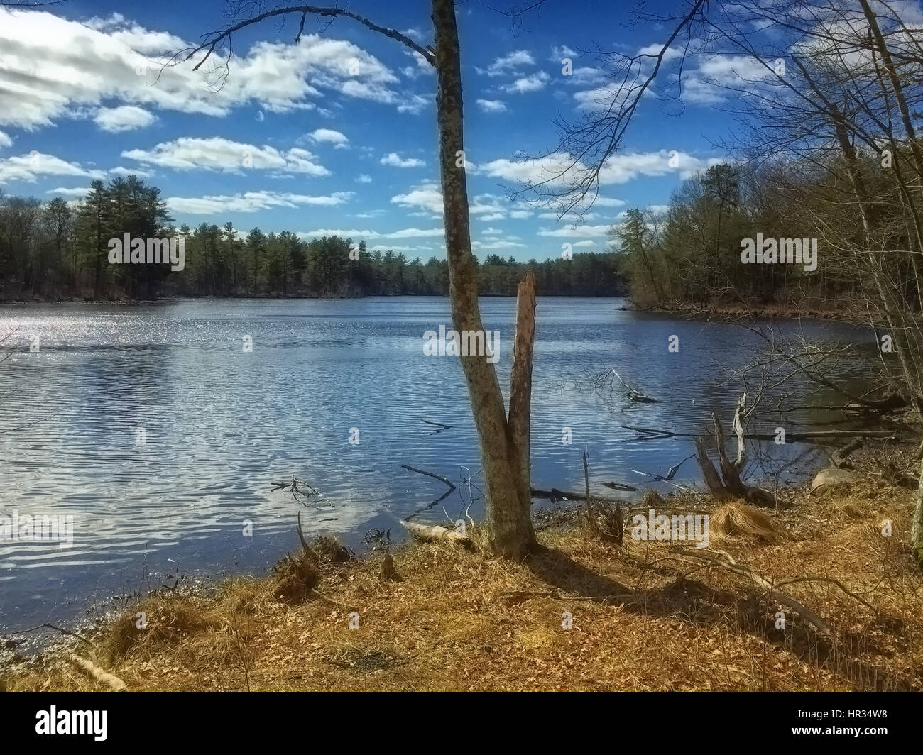 Tillinghast pond hi-res stock photography and images - Alamy