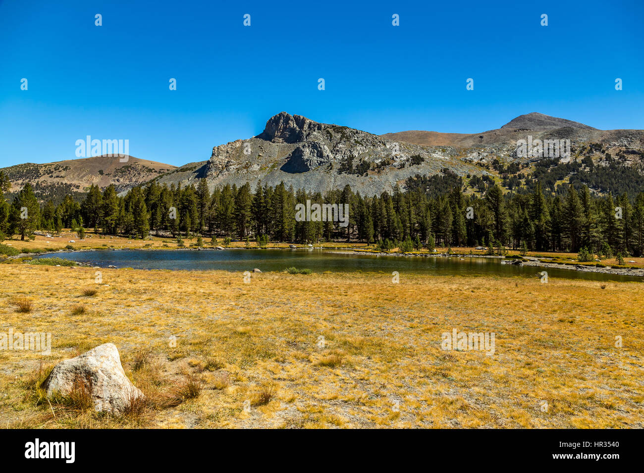 Mount Dana is a mountain in the U.S. state of California. Its summit ...