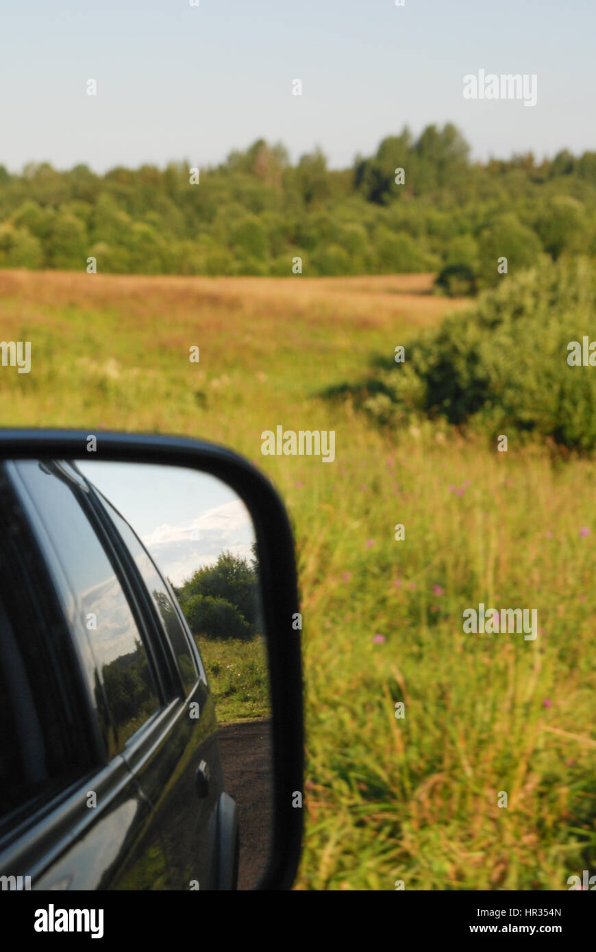 Car driving through the forest on a sunny road in the woods viewed from ...