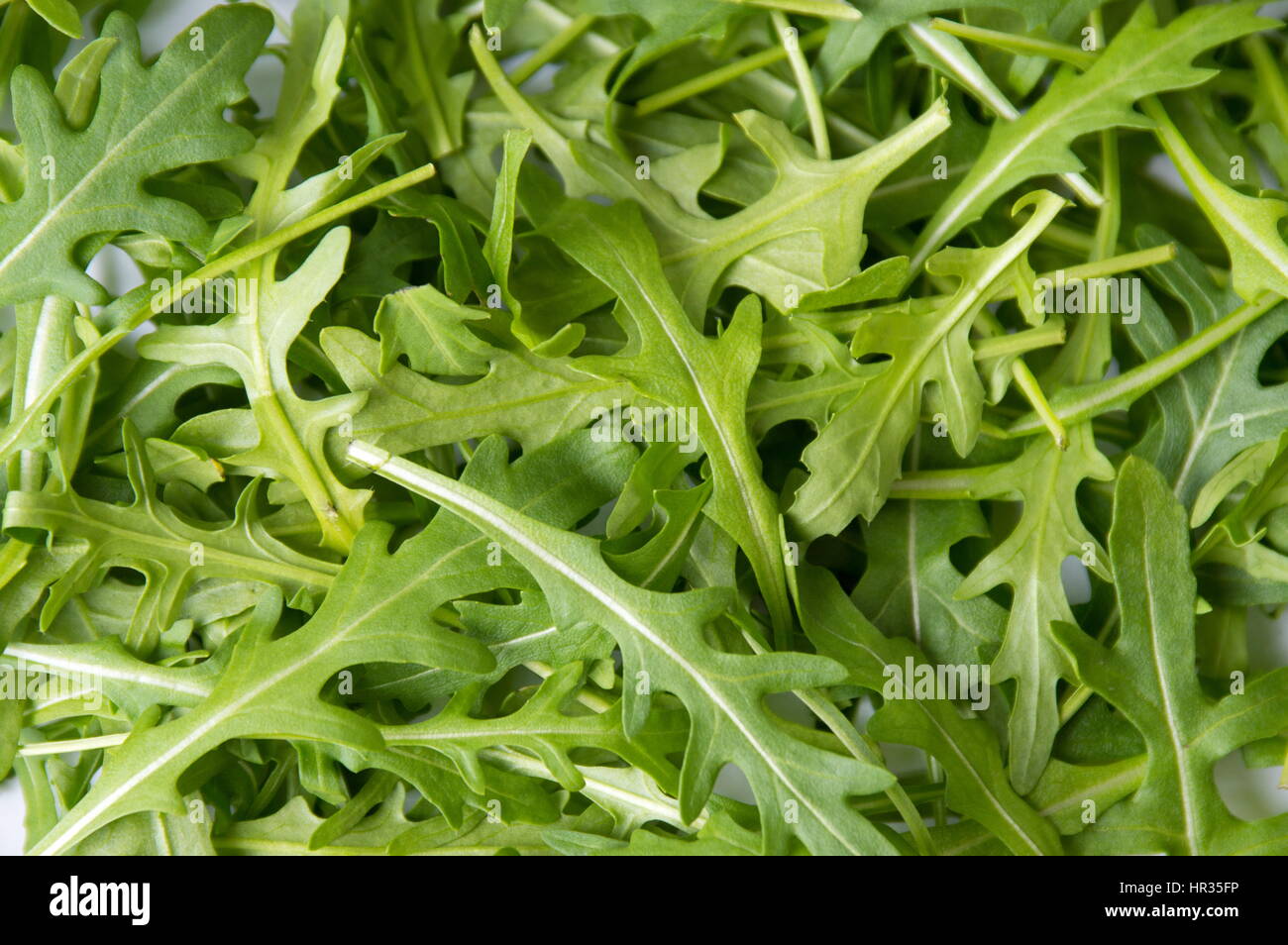 Rucola plant green leaves on a pile background Stock Photo - Alamy