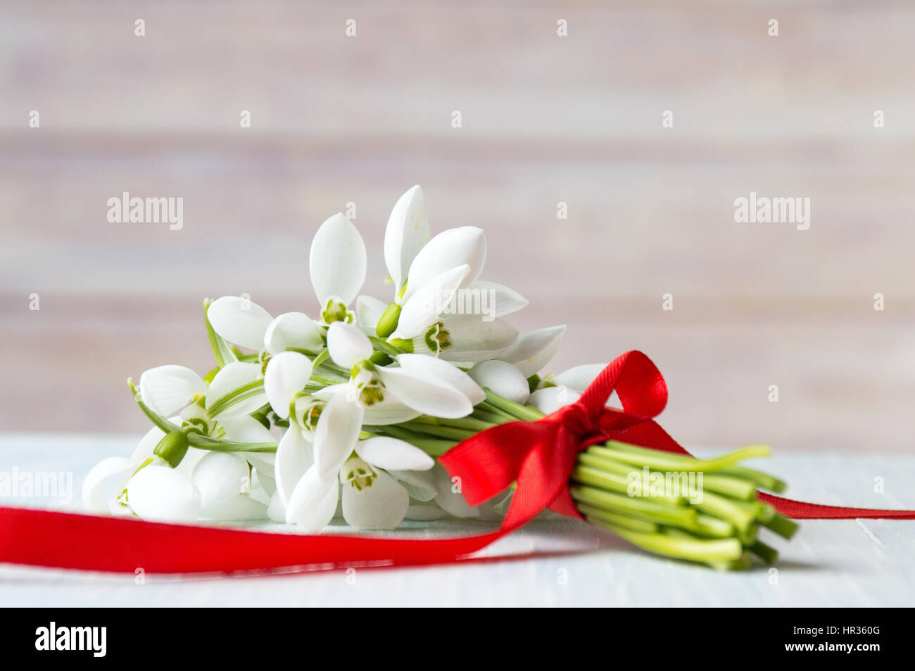 Snowdrops bouquet tied with red ribbon for a romantic present Stock ...
