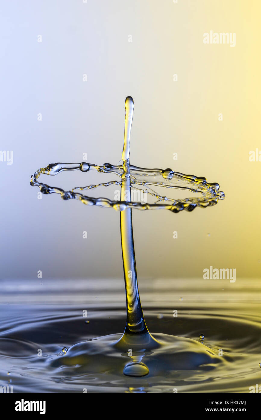 Liquid Art, the study of a liquid drop creating shapes from fluid ...