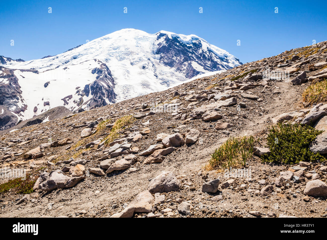 The trail to the top of 3rd Burroughs Mountain in Mount Rainier ...