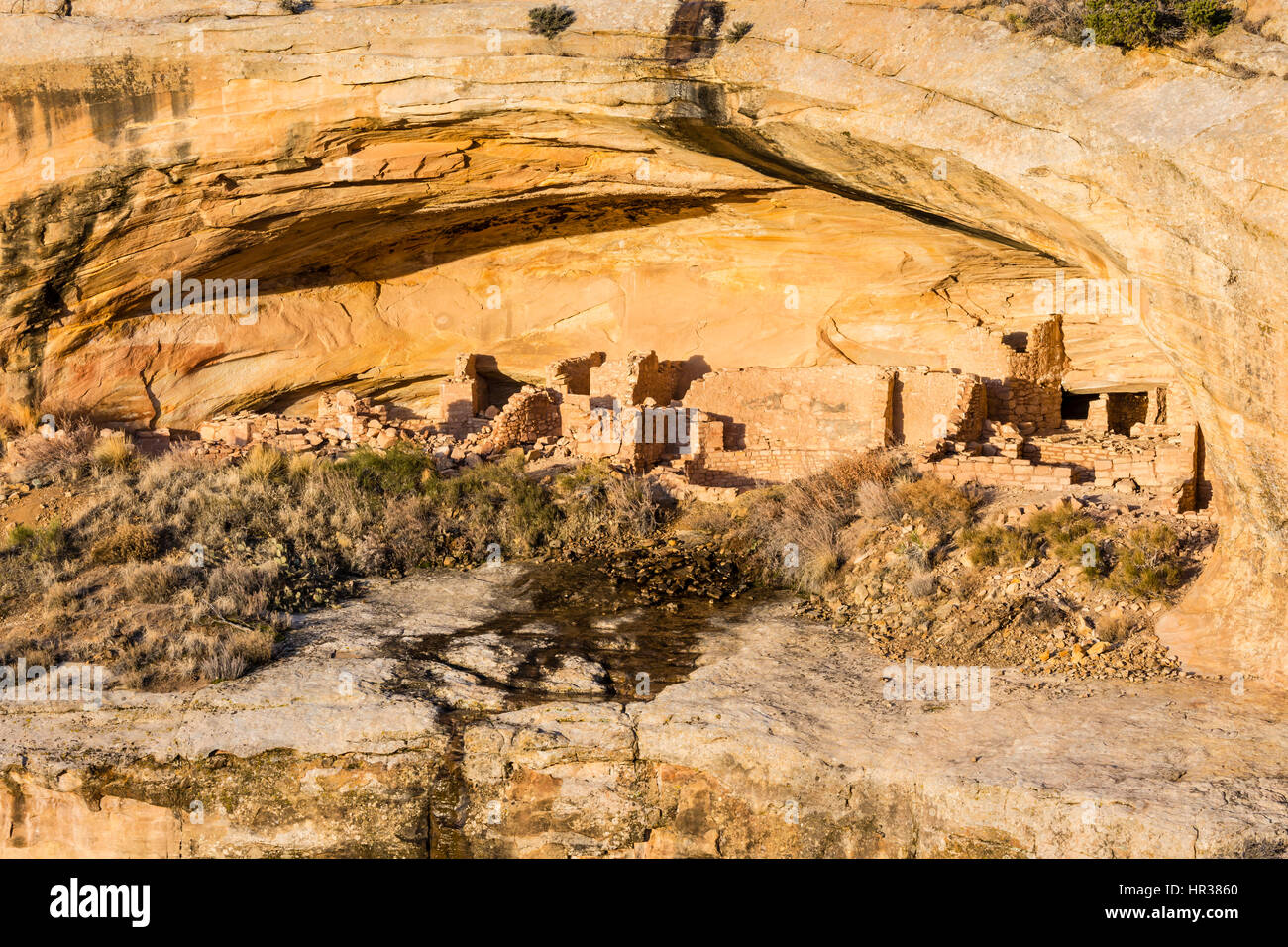 Round and square Kivas in the main alcove of cliff dwellings in the ...