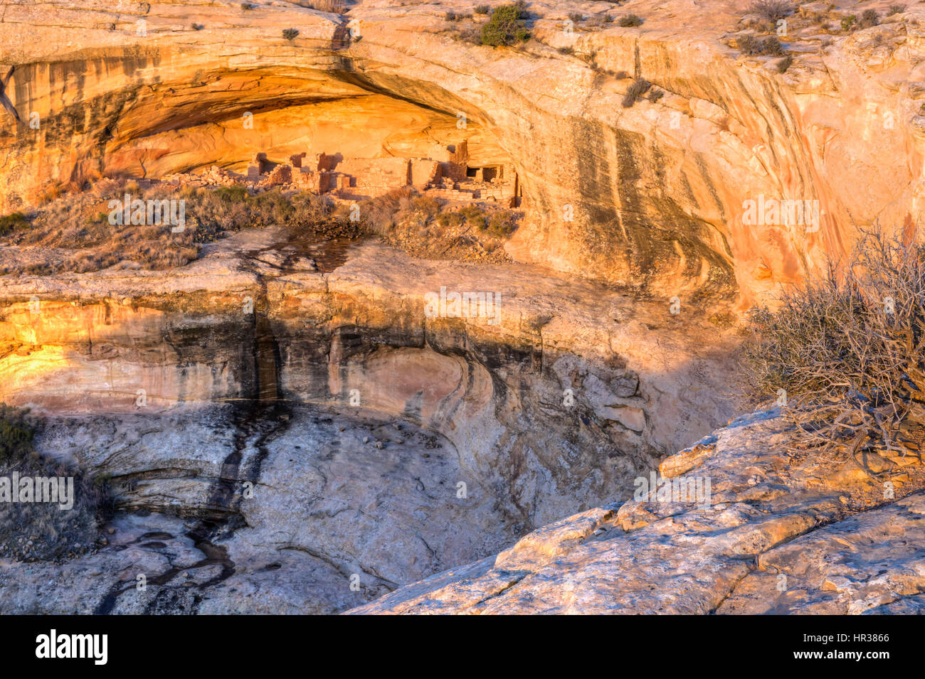 Morning light on the cliff dwellings in the Butler Wash Ruins in Comb ...