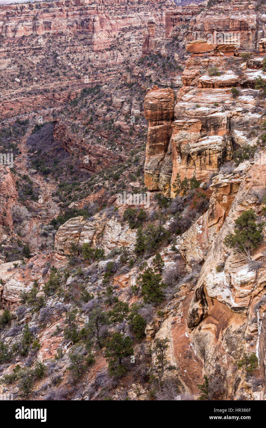 Colorful Mule Canyon near the site of the Cave Tower Ruins in the Cedar ...