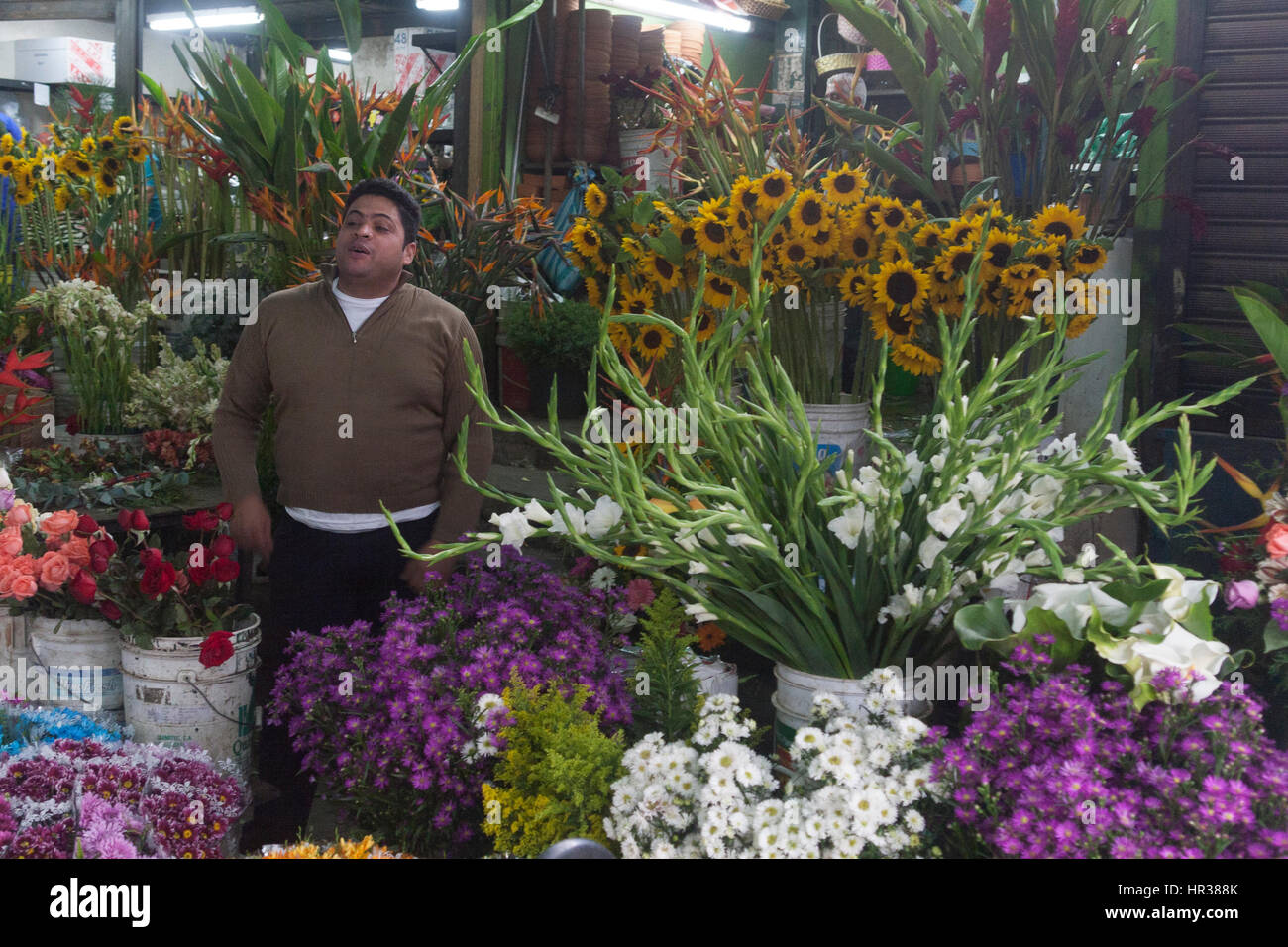 Mercaderia de mercado hi-res stock photography and images - Alamy