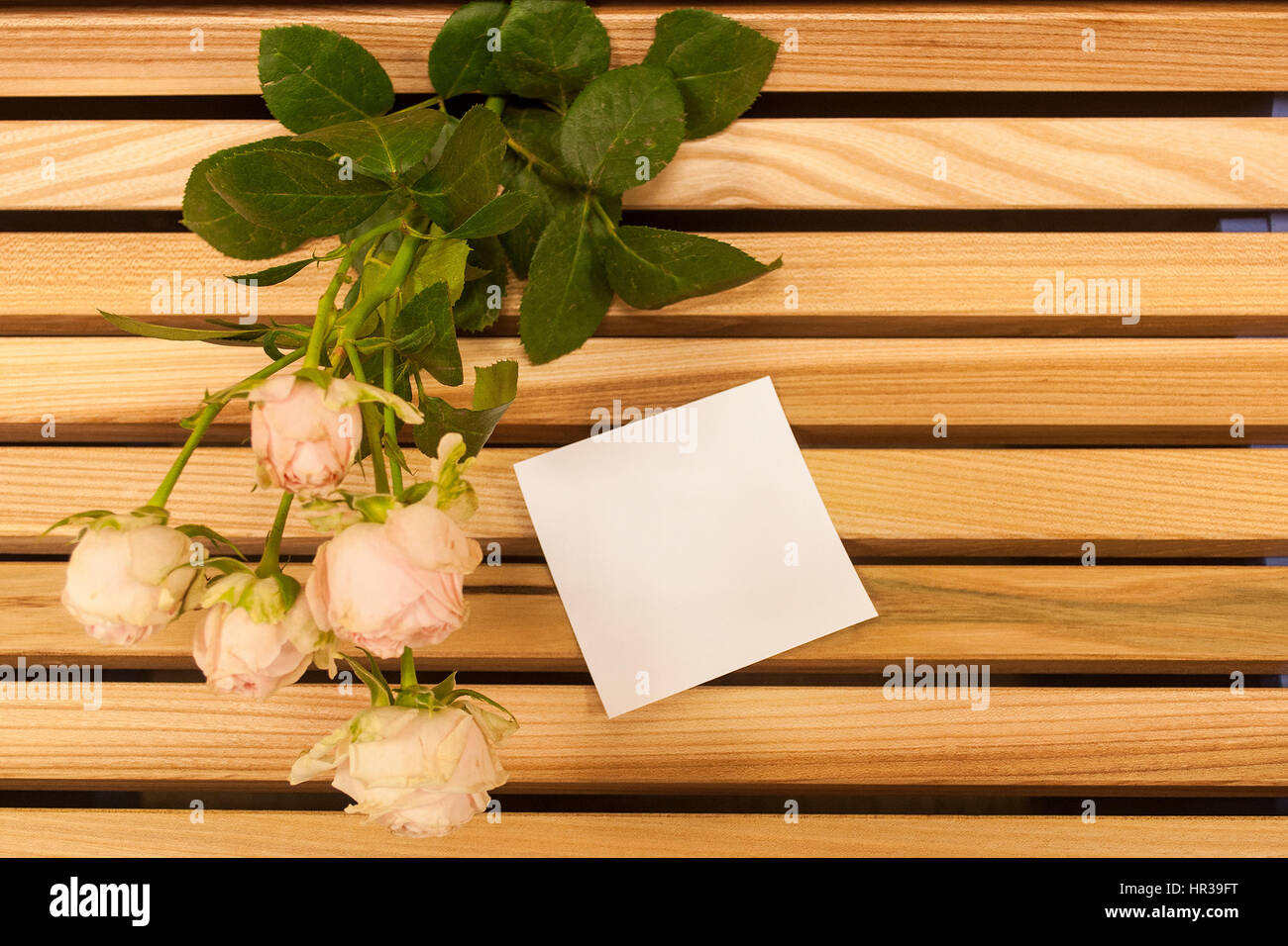 Pink rose bouquet closeup sticker note on a wooden bench background ...