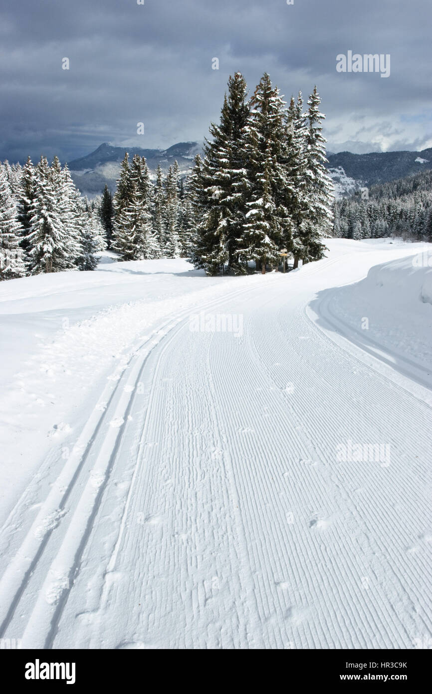 Groomed empty cross country hi-res stock photography and images - Alamy