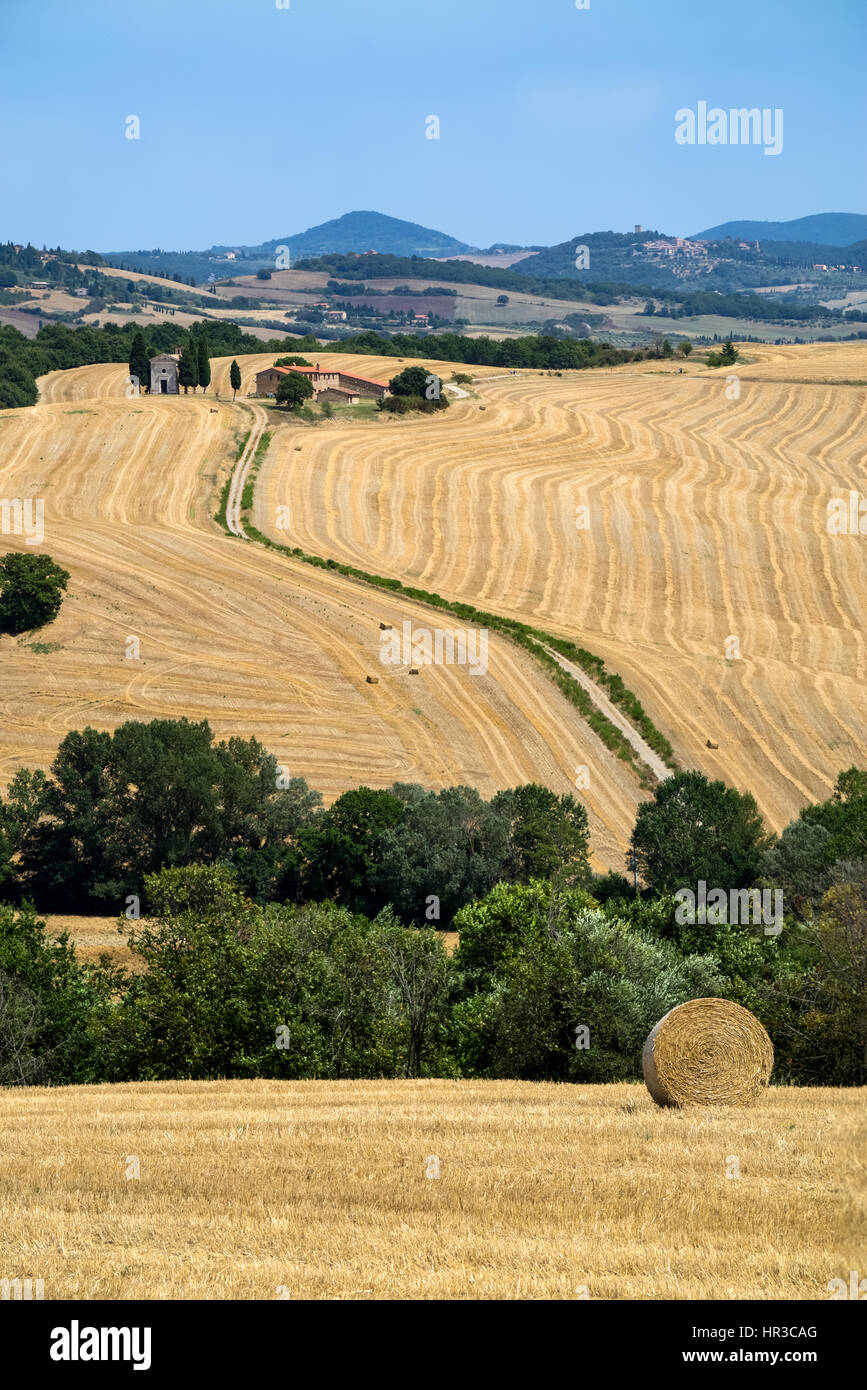 Scenic Tuscany landscape with rolling hills and valleys in golden ...