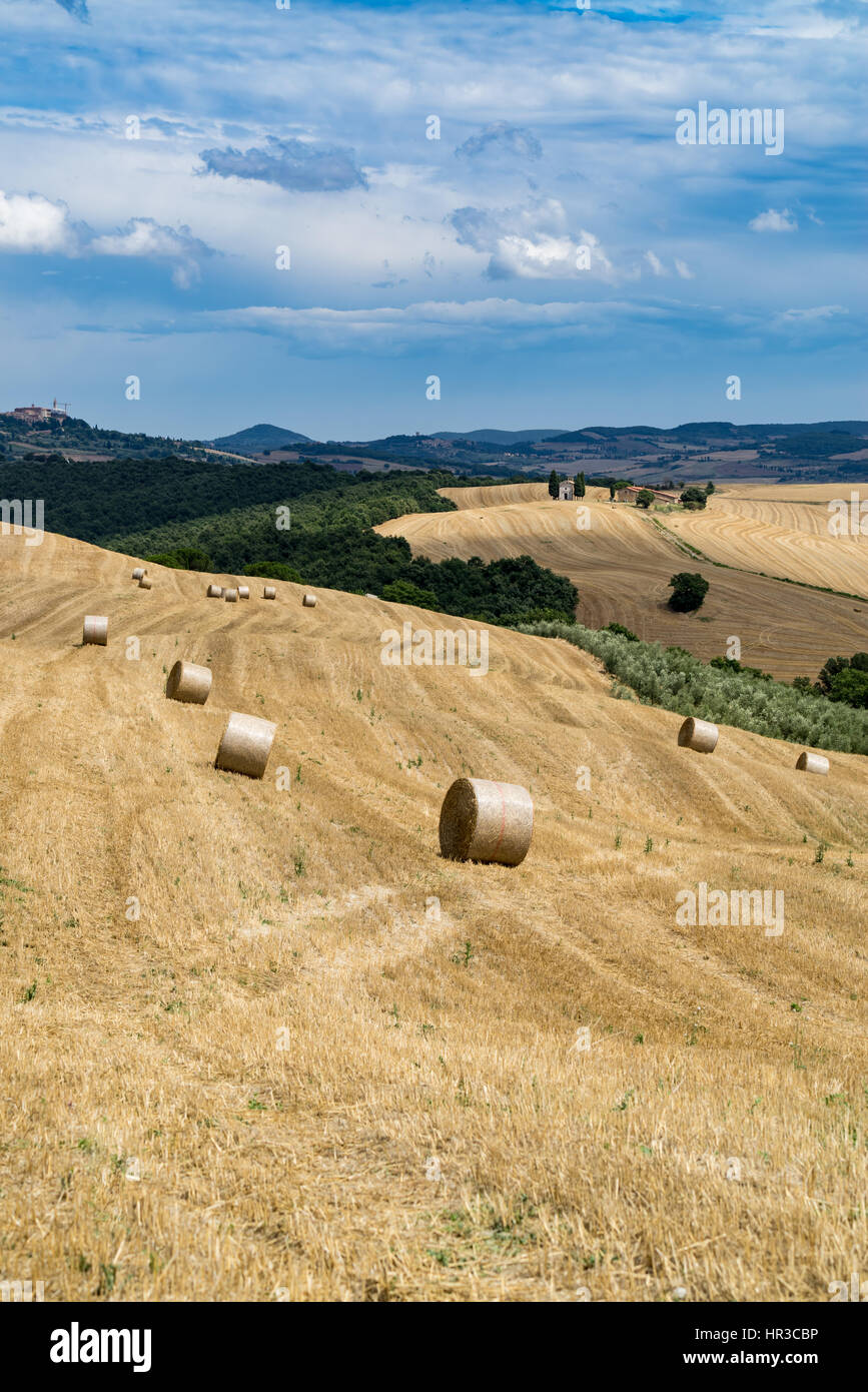 Scenic Tuscany landscape with rolling hills and valleys in golden ...
