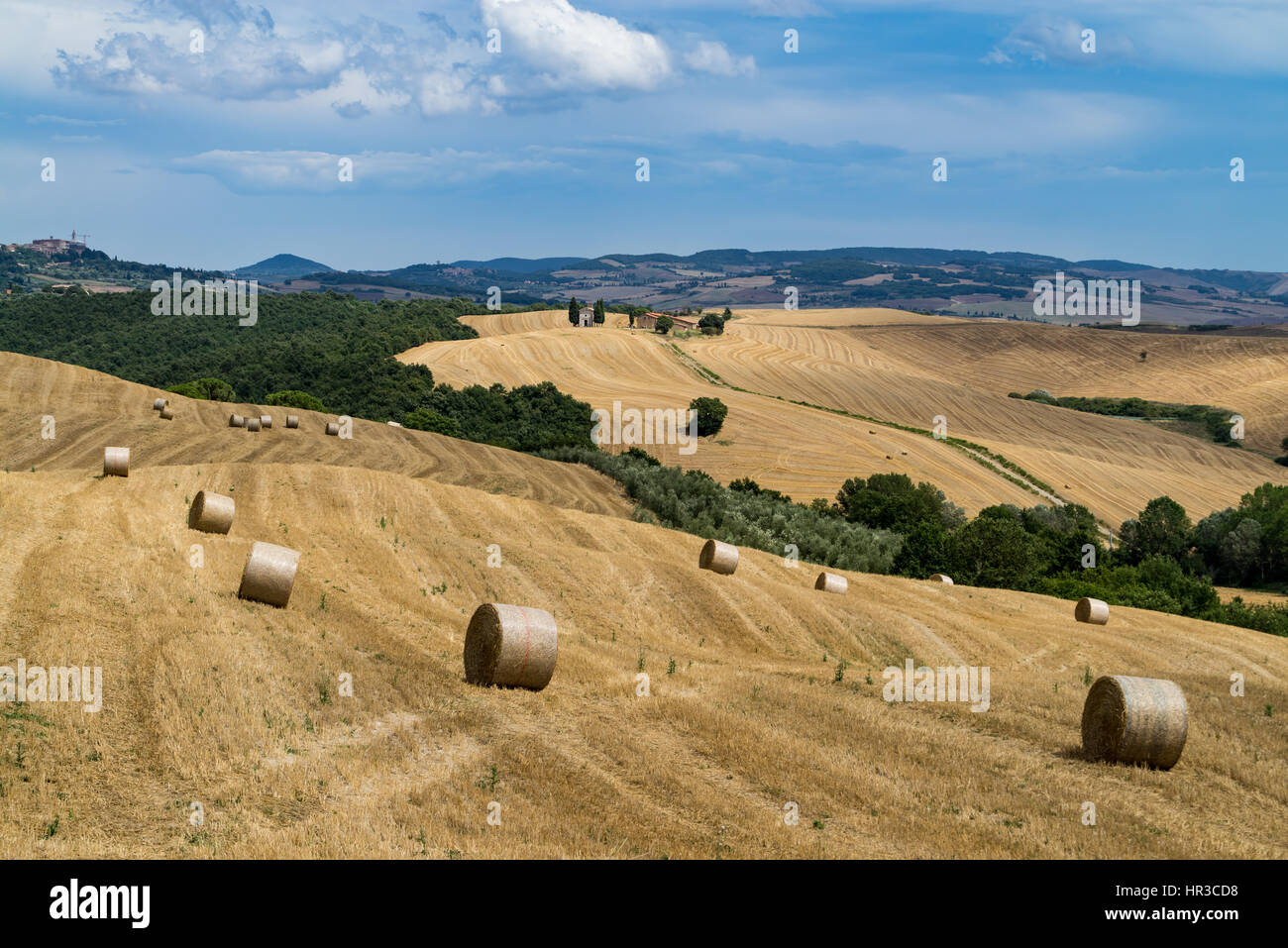 Scenic Tuscany landscape with rolling hills and valleys in golden ...