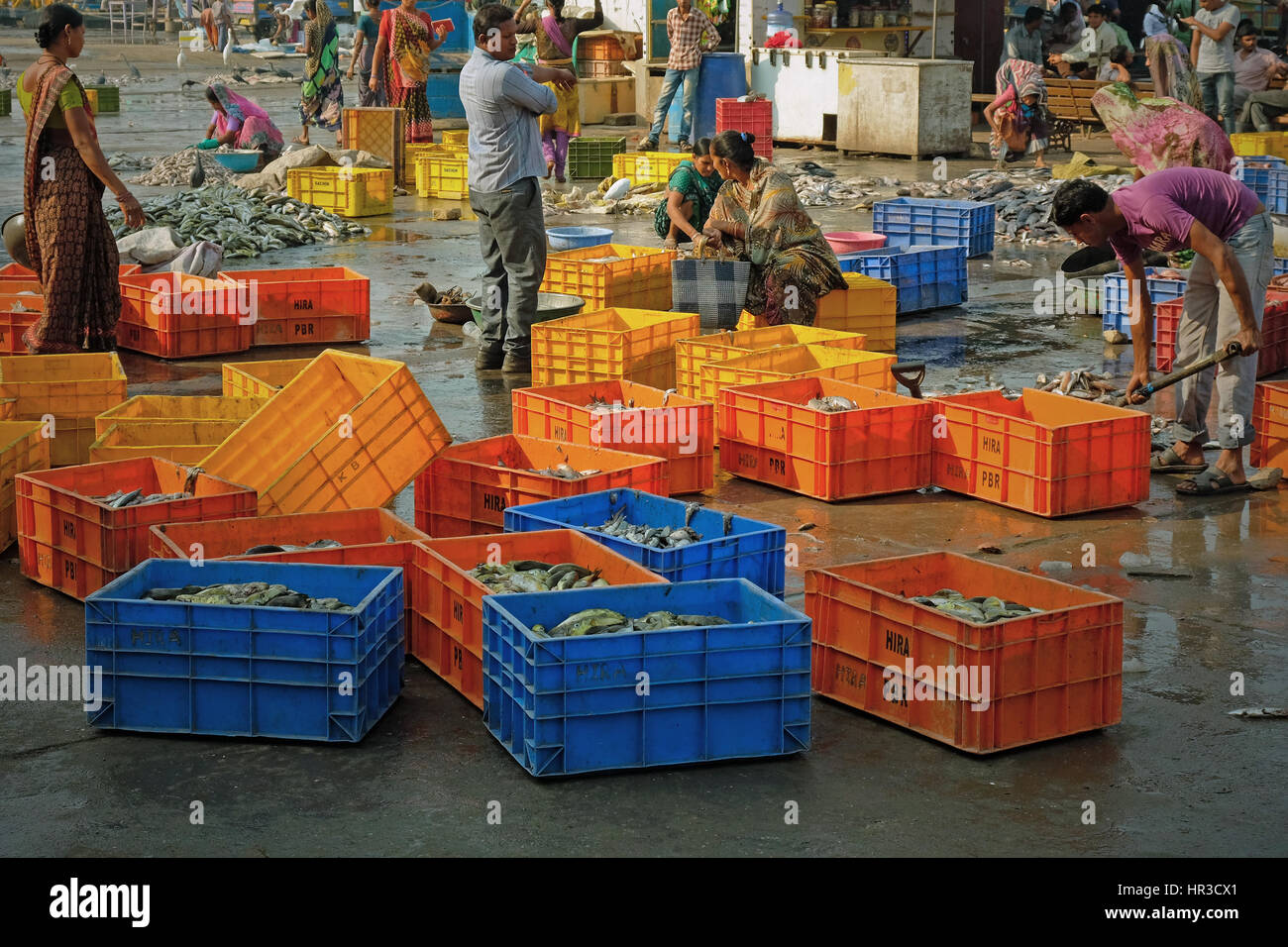 Indian fishmonger hi-res stock photography and images - Alamy