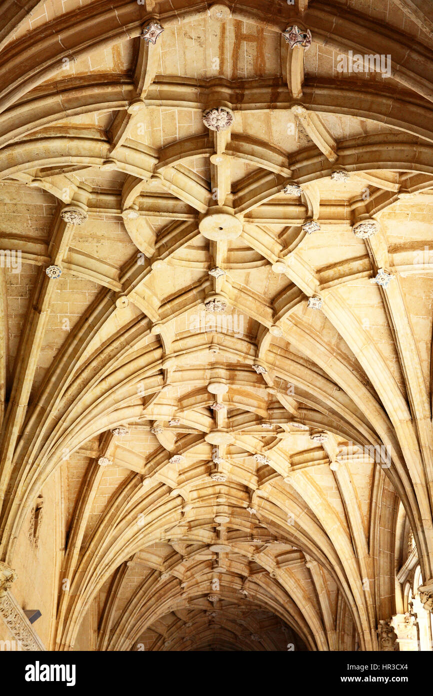 Gothic stone vaulting in an old tample - architectural detail Stock ...