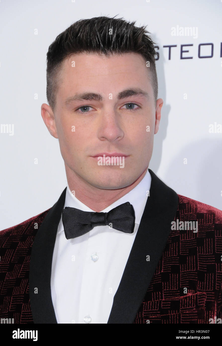 Elton Hayes High Resolution Stock Photography and Images - Alamy