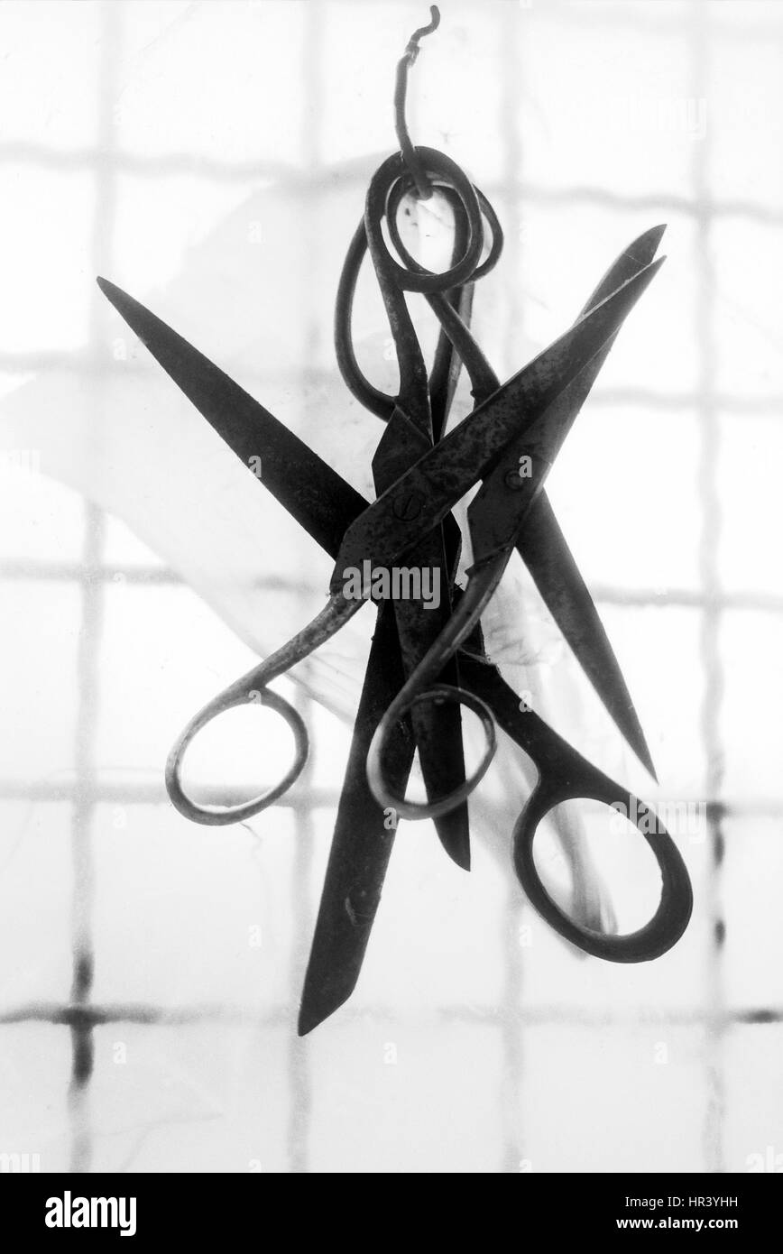 Screen loop Black and White Stock Photos & Images - Alamy