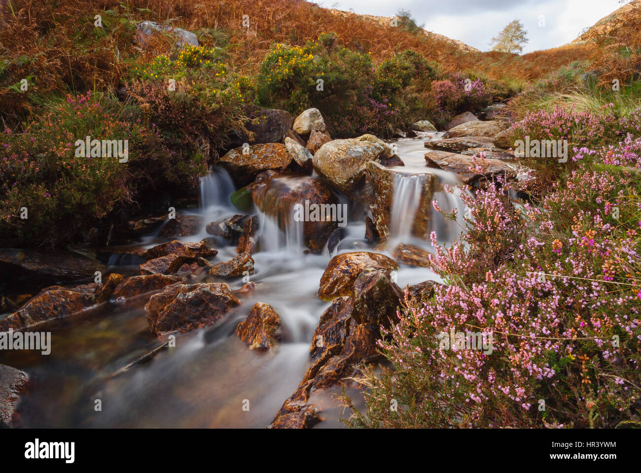 Cwm bychan hi-res stock photography and images - Alamy