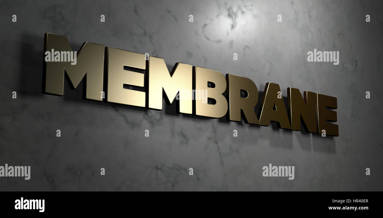 Membrane - Gold sign mounted on glossy marble wall - 3D rendered ...