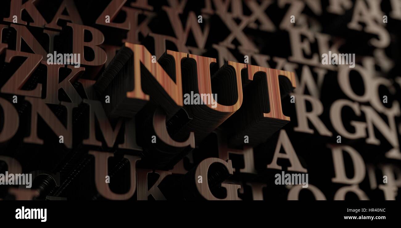 Nut - Wooden 3D rendered letters/message. Can be used for an online ...