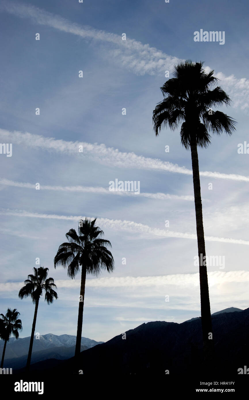 Distant trees with mountains hi-res stock photography and images - Alamy