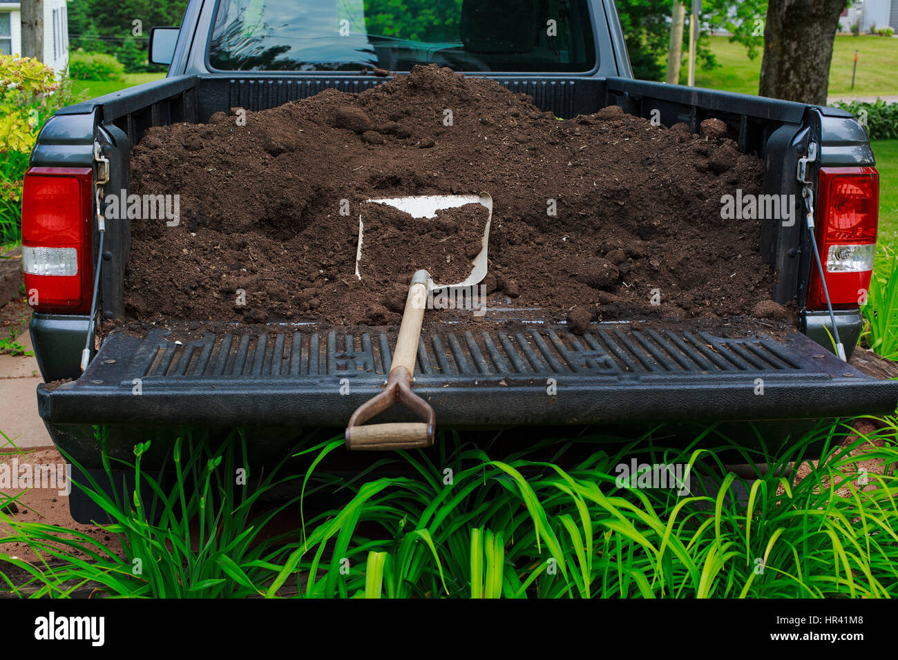 A truck load of compost or mulch ready to be shoveled off Stock Photo ...