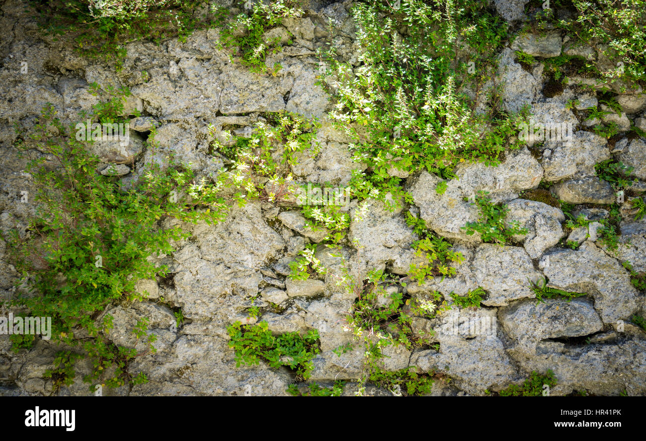 Paved stone road texture, footpath in the center city square Stock ...