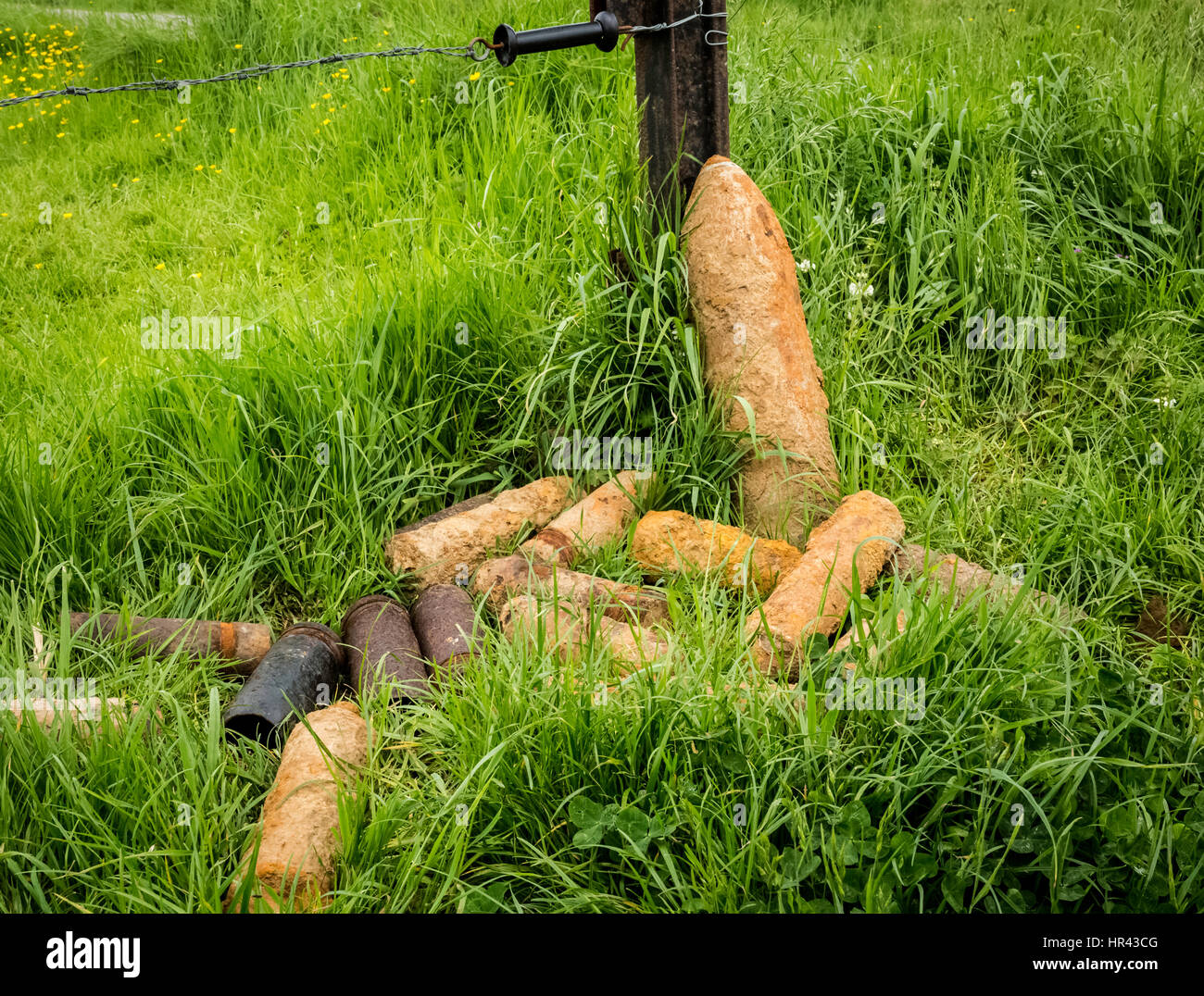 Unexploded bomb shells from World War One in West Flanders, Belgium ...