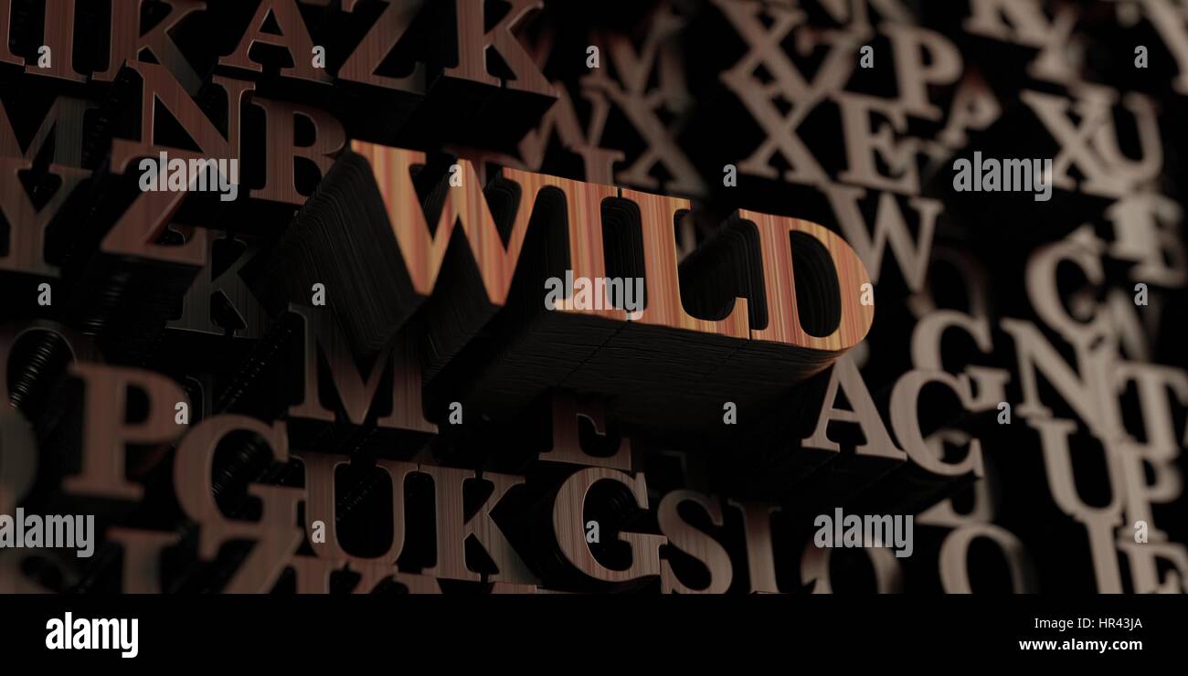 Wild - Wooden 3D rendered letters/message. Can be used for an online ...