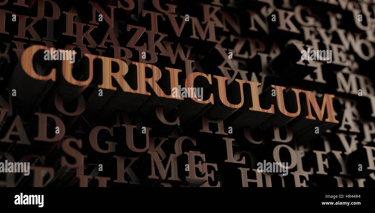Curriculum - Wooden 3D rendered letters/message. Can be used for an ...