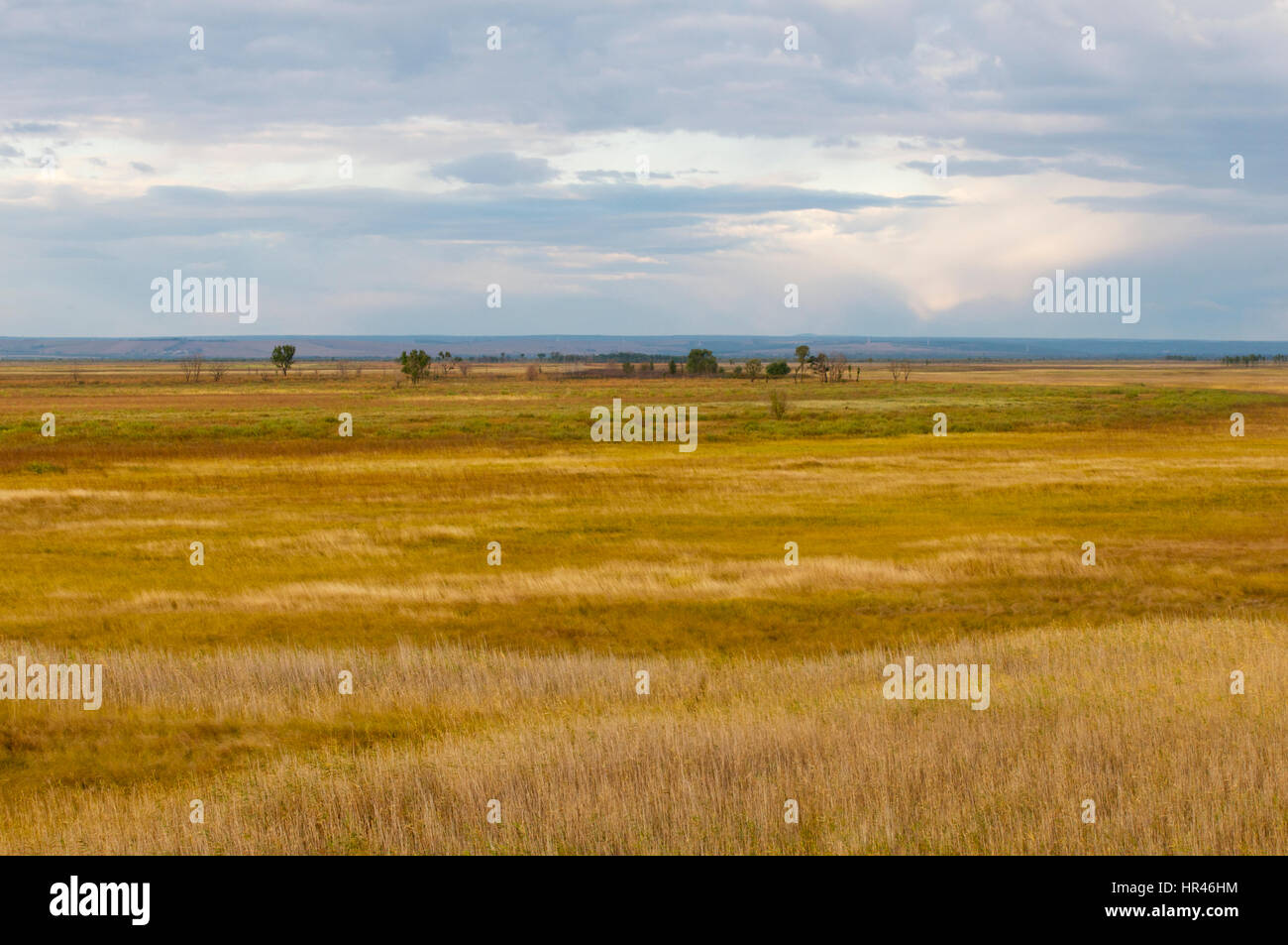 Marsh or Open Wetland with blue sky background is the home and breeding ...